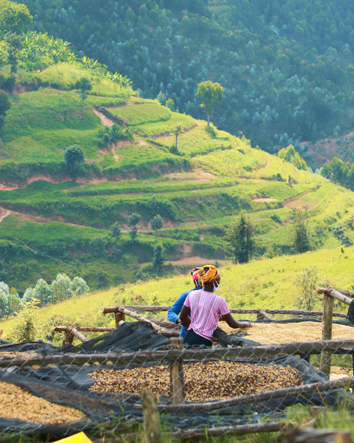 Our Story – Rw kivu noir coffee